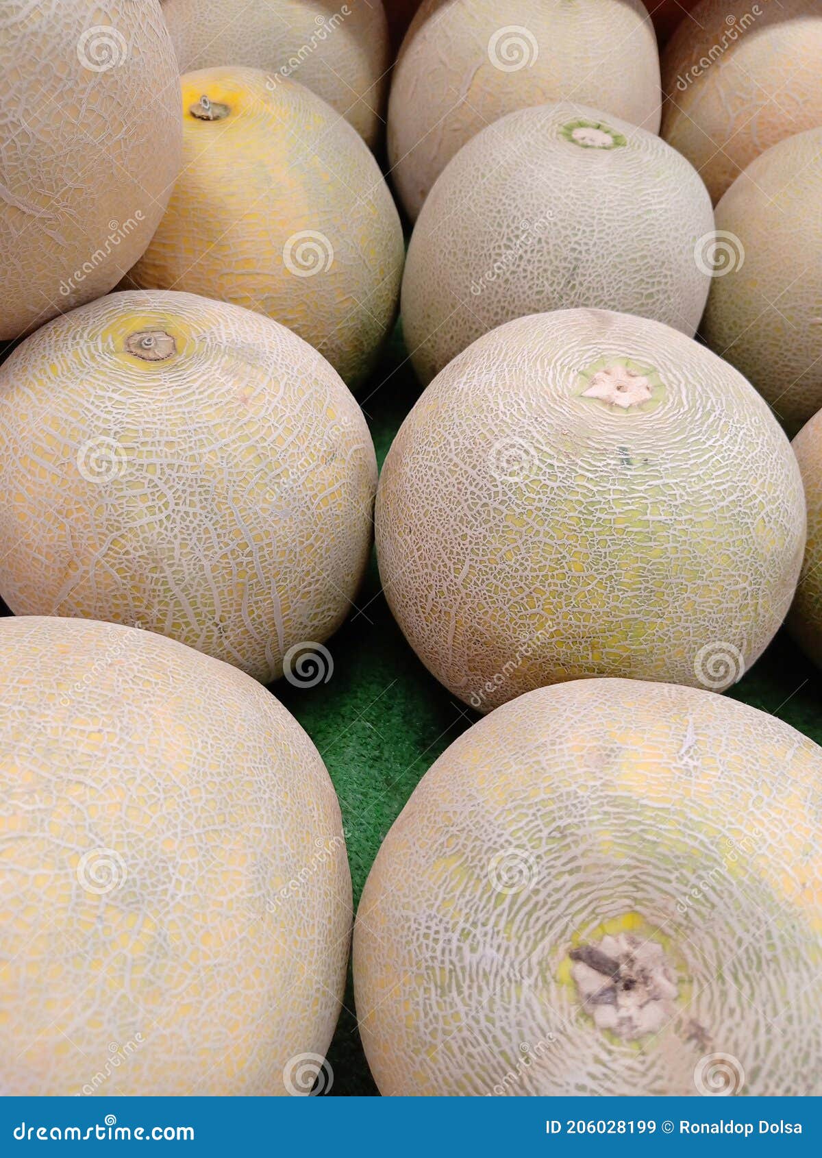 The Fresh Fruit of Melon Sell in Supermarket Stock Image - Image of ...