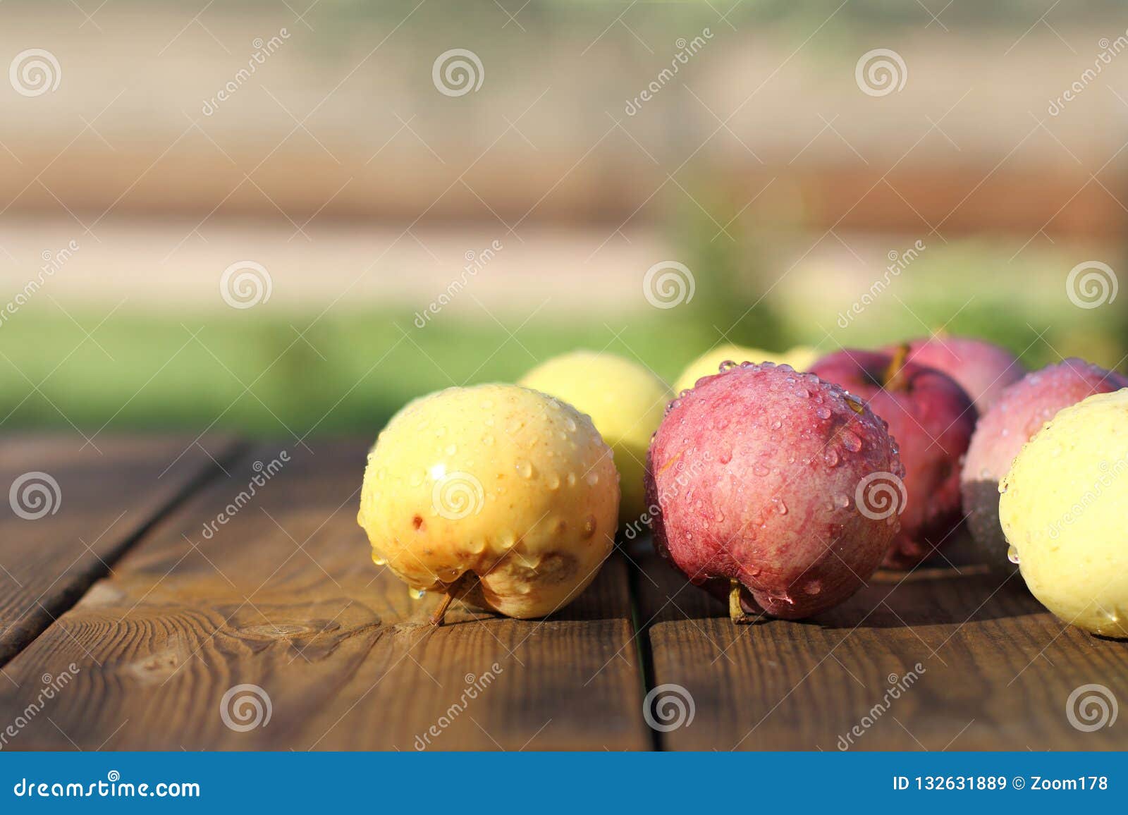 Fresh fruit after rain stock image. Image of agriculture - 132631889