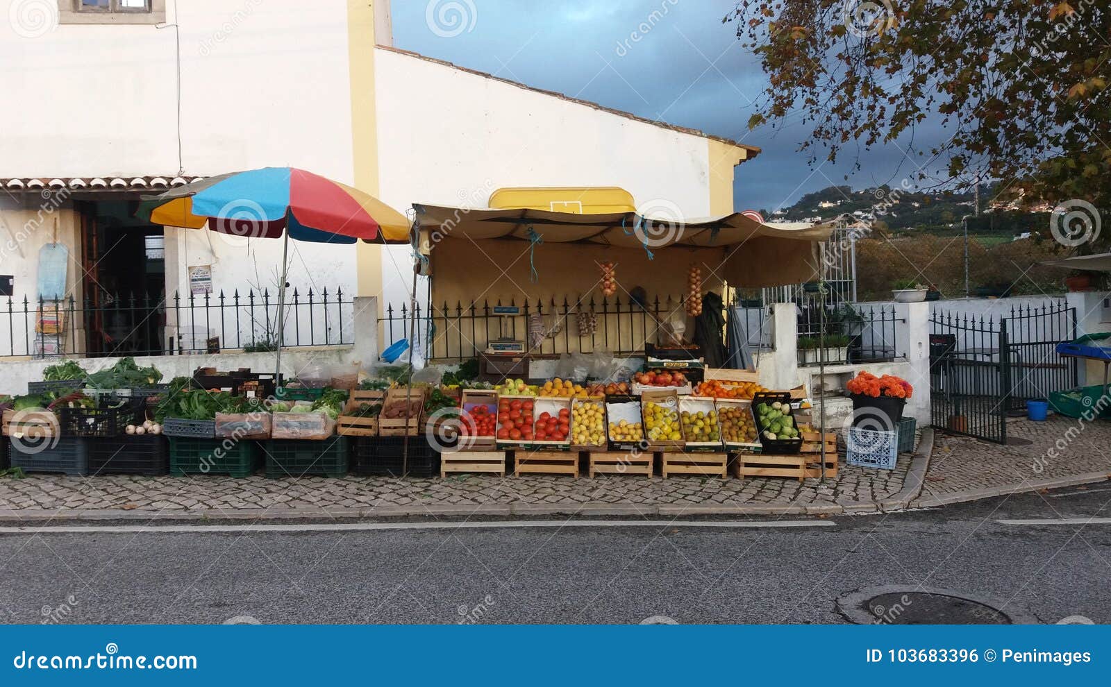 Fresh Fruit Stand editorial photo. Image of tomato, market - 103683396