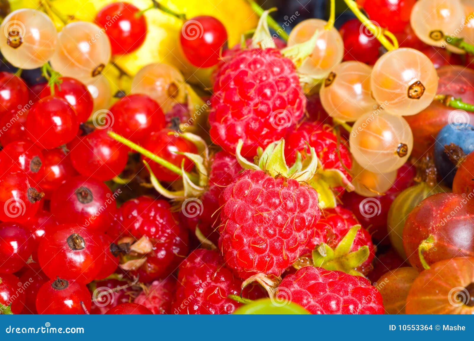 Fresh fruits and berry. stock photo. Image of isolated - 10553364