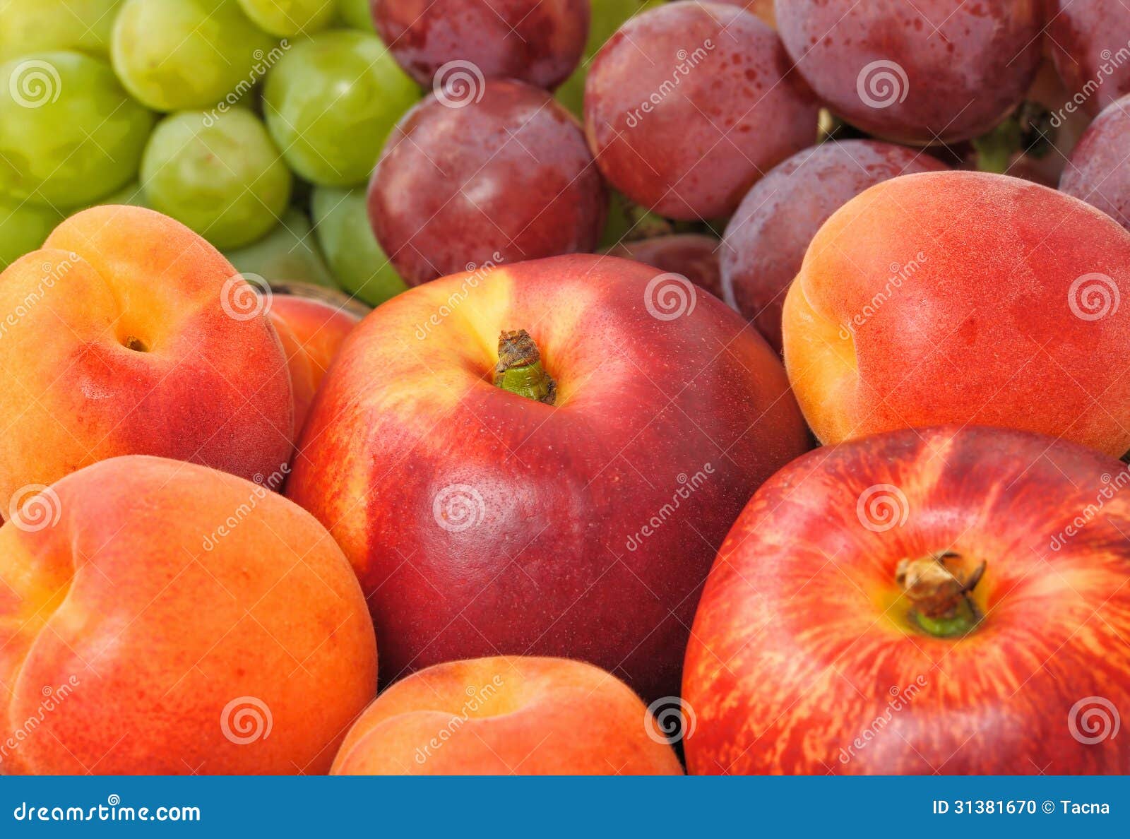 Fresh fruits closeup stock photo. Image of beauty, diet - 31381670