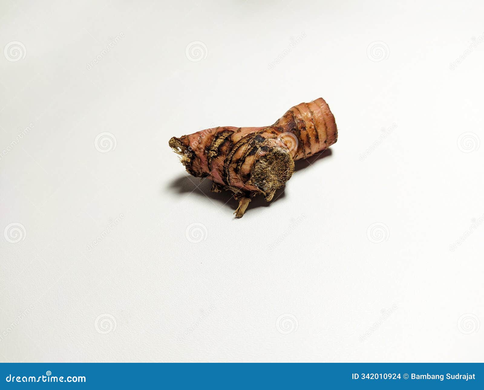 Fresh Galangal Root Isolated on White Background Stock Photo - Image of ...
