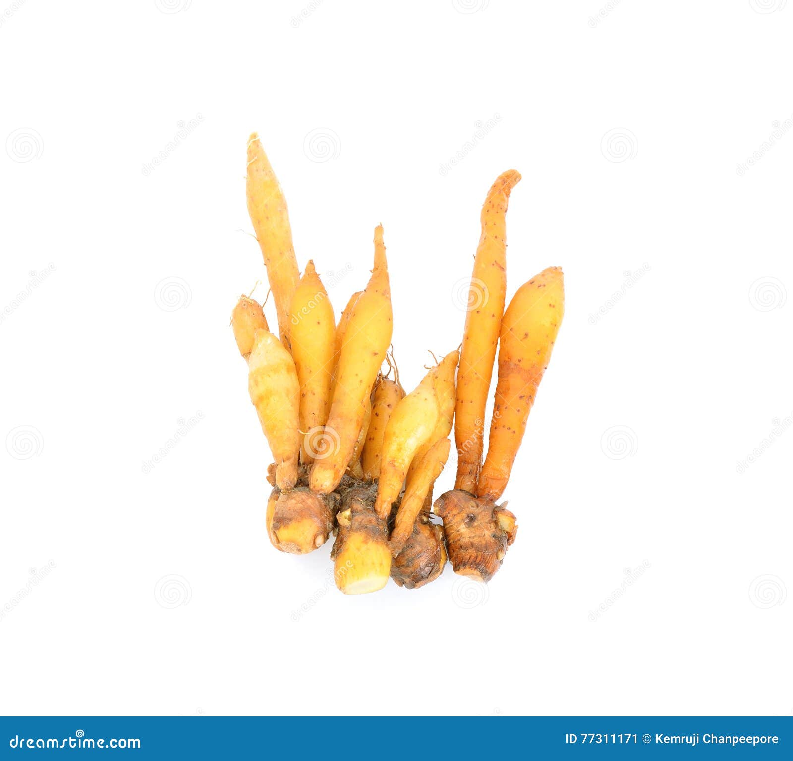 Fresh galingale isolated stock image. Image of health - 77311171