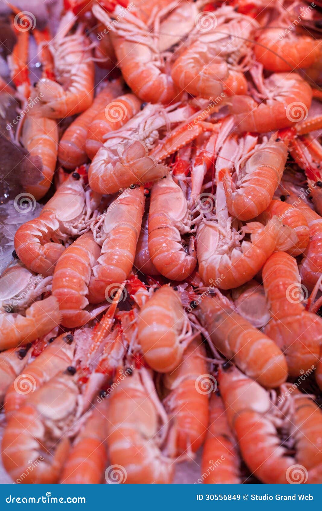 Fresh Gambas at the Fish Monger Stock Image - Image of fresh, bulk ...