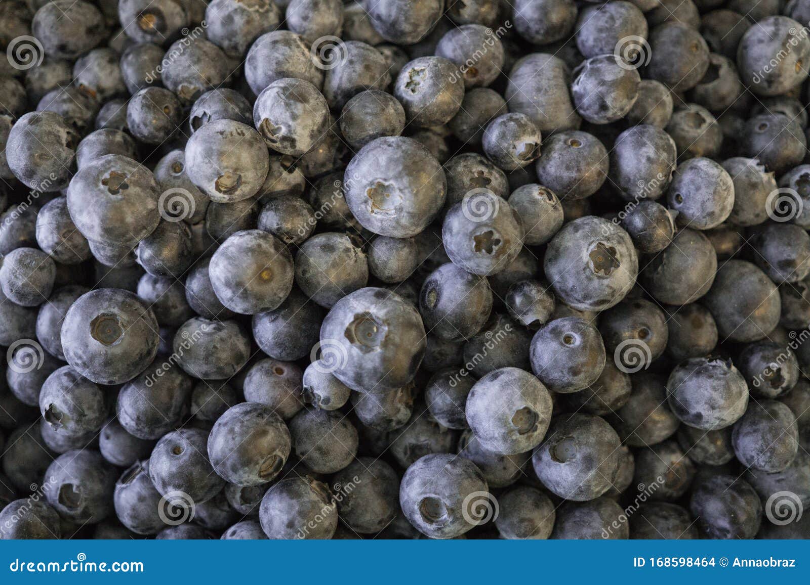 Fresh Garden Blueberries, Scattered in a Box Stock Photo - Image of ...