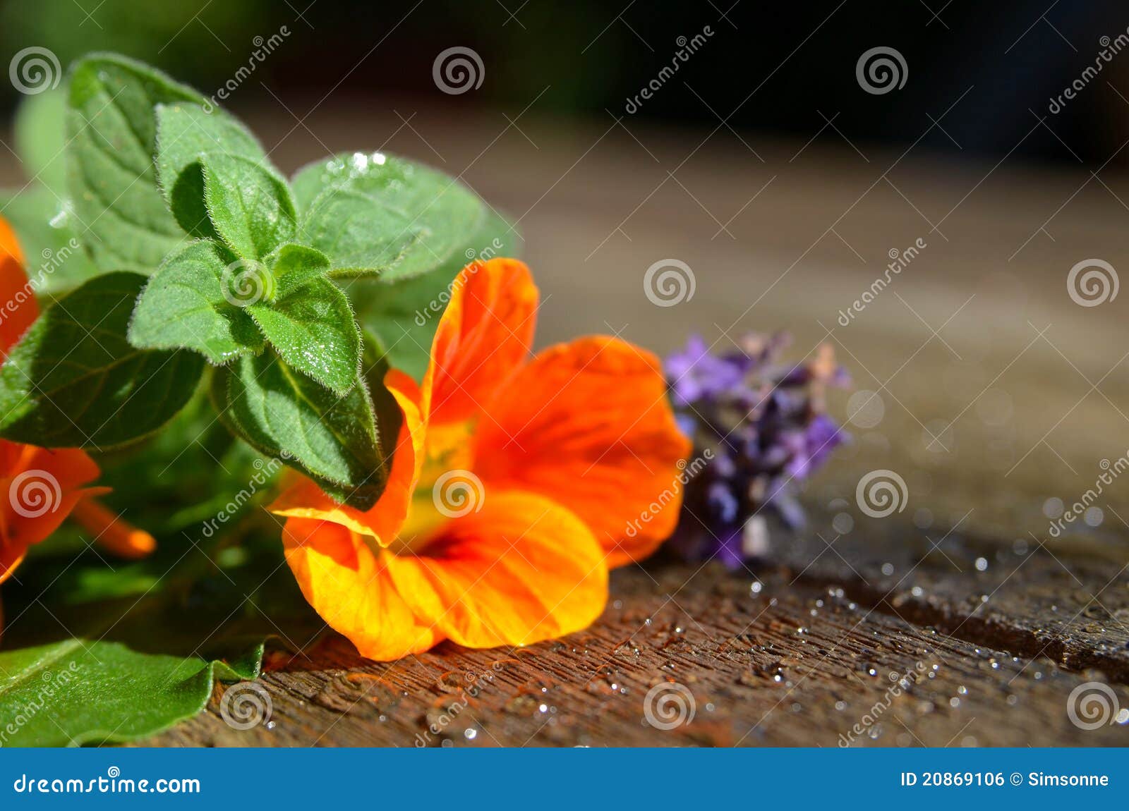 Fresh garden Flower herbs stock photo. Image of gardening - 20869106