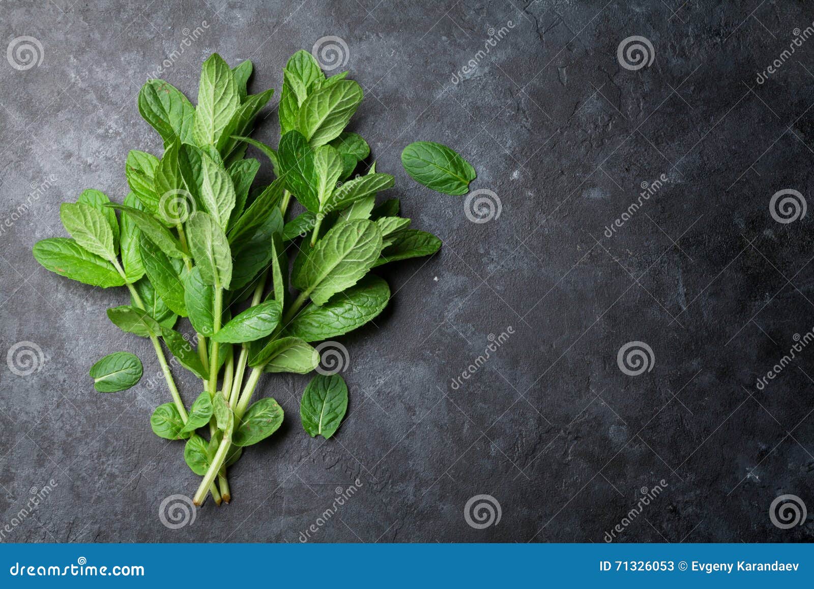 Fresh garden mint stock image. Image of leaf, copy, mojito - 71326053