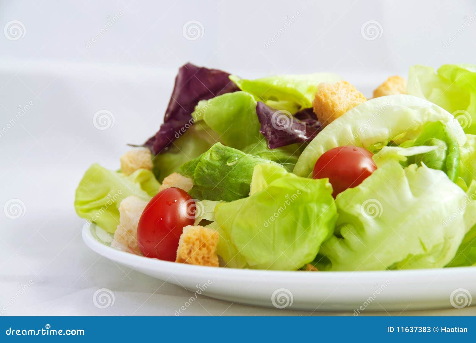 Fresh Garden Salad stock image. Image of toss, vegetarian - 11637383