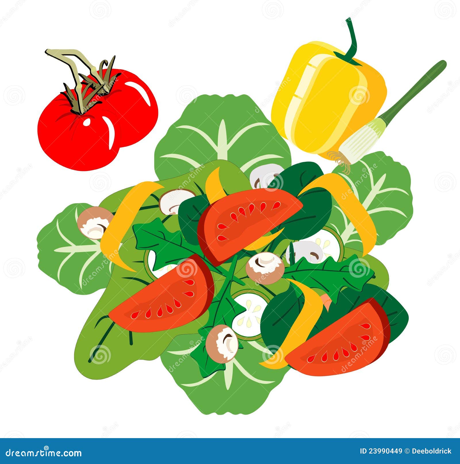 Fresh Garden Salad stock vector. Illustration of green - 23990449