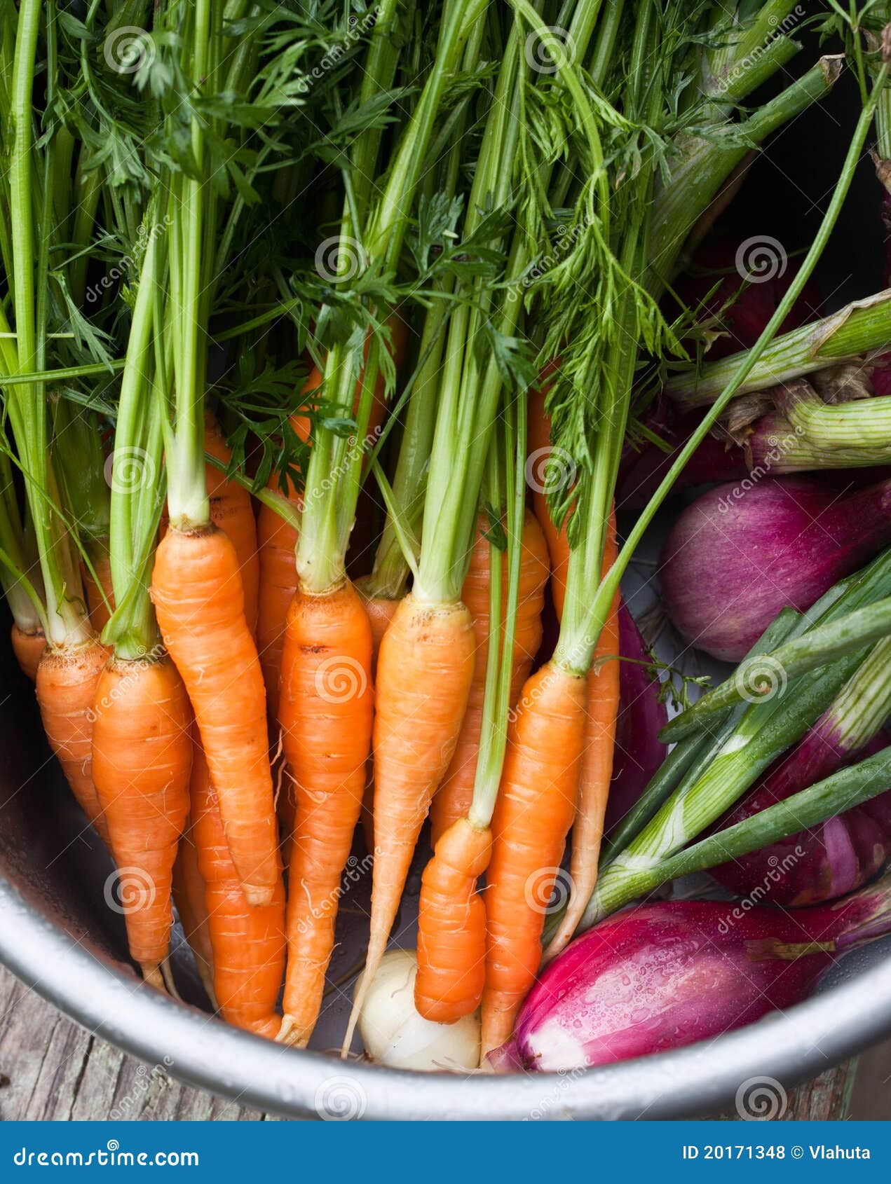 Fresh garden vegetables stock photo. Image of cook, soup - 20171348