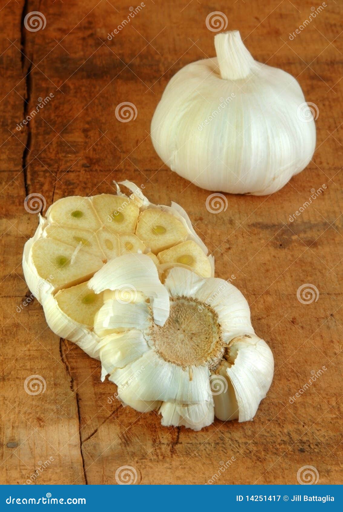 Fresh Garlic stock image. Image of fresh, rustic, healthy - 14251417
