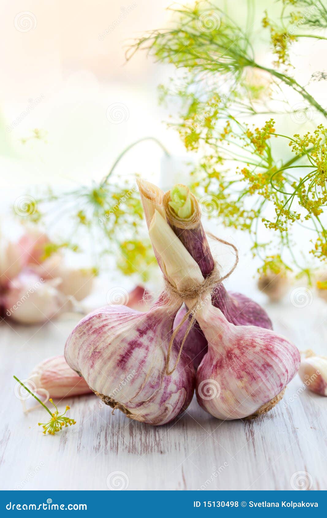 Fresh garlic stock photo. Image of bulb, vegetable, leaf - 15130498