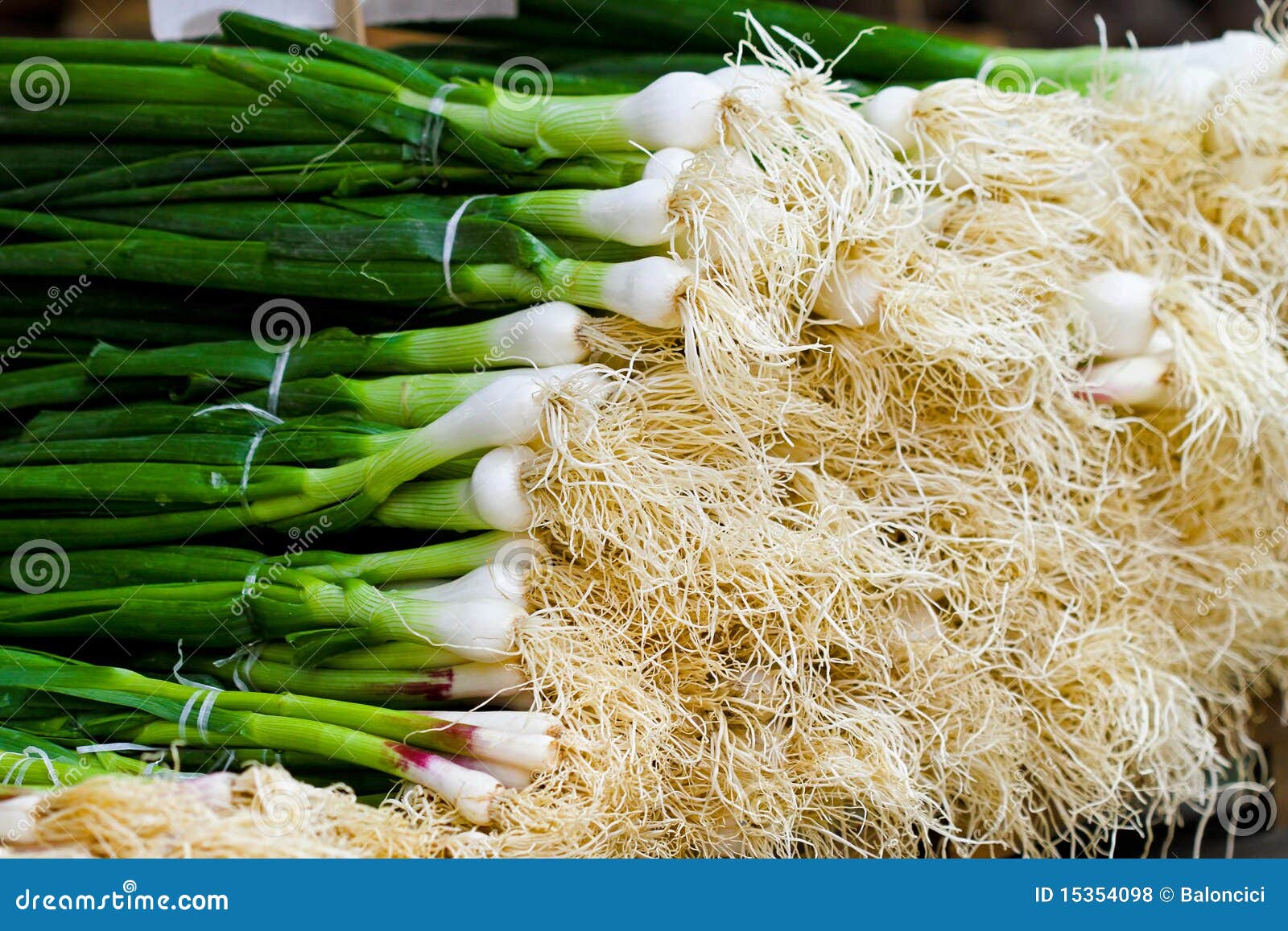 Fresh garlic stock photo. Image of natural, farmers, veggie - 15354098
