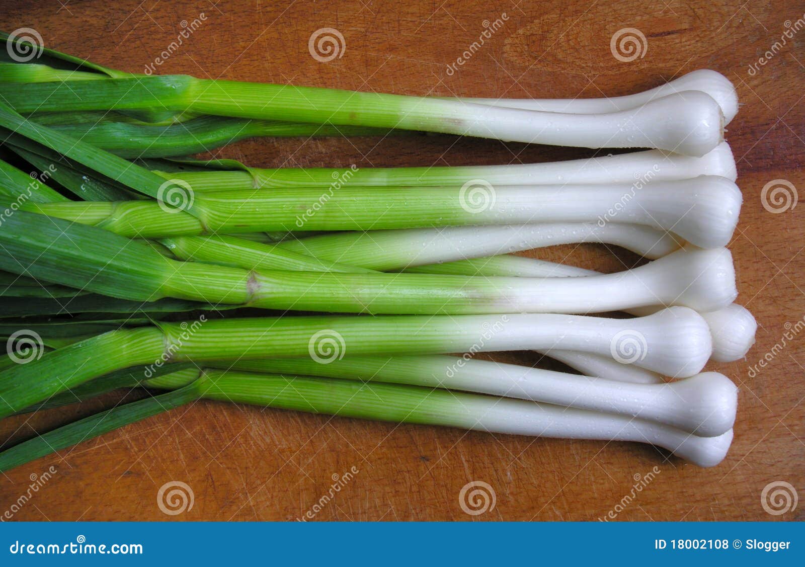 Fresh garlic stock photo. Image of food, vegetable, vegan - 18002108