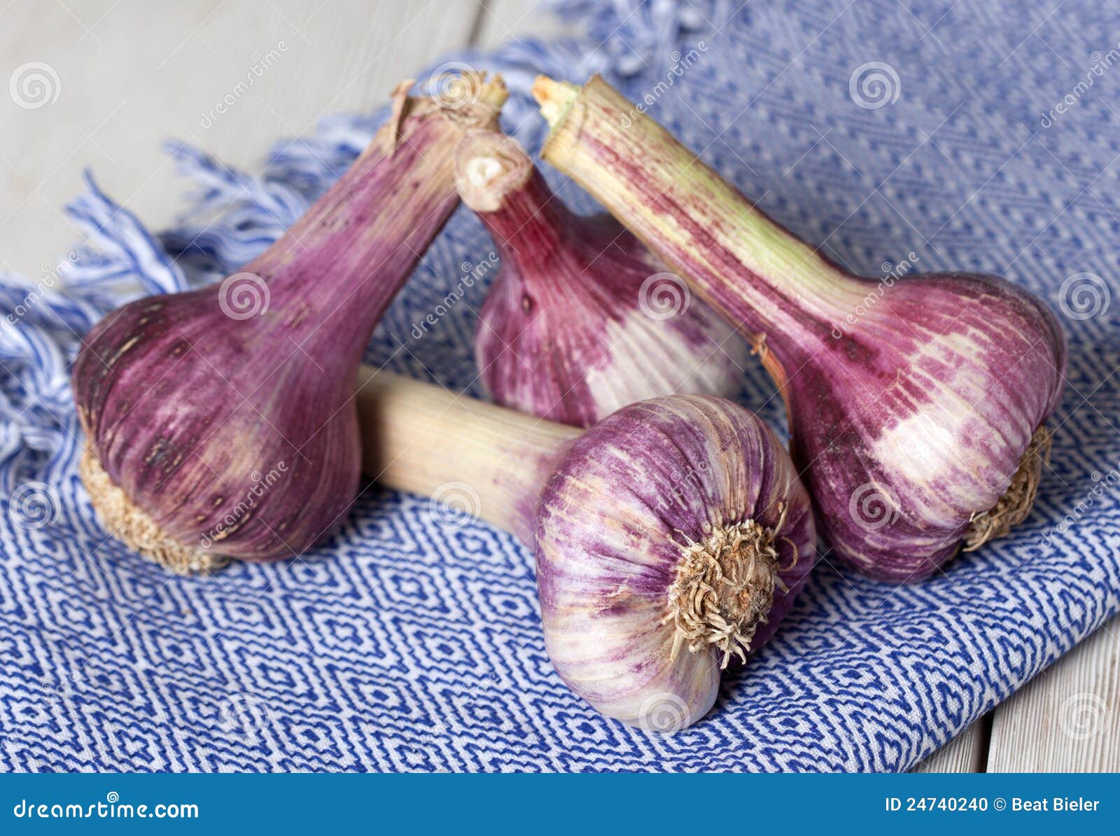 Fresh Garlic stock photo. Image of vegetable, four, fresh - 24740240