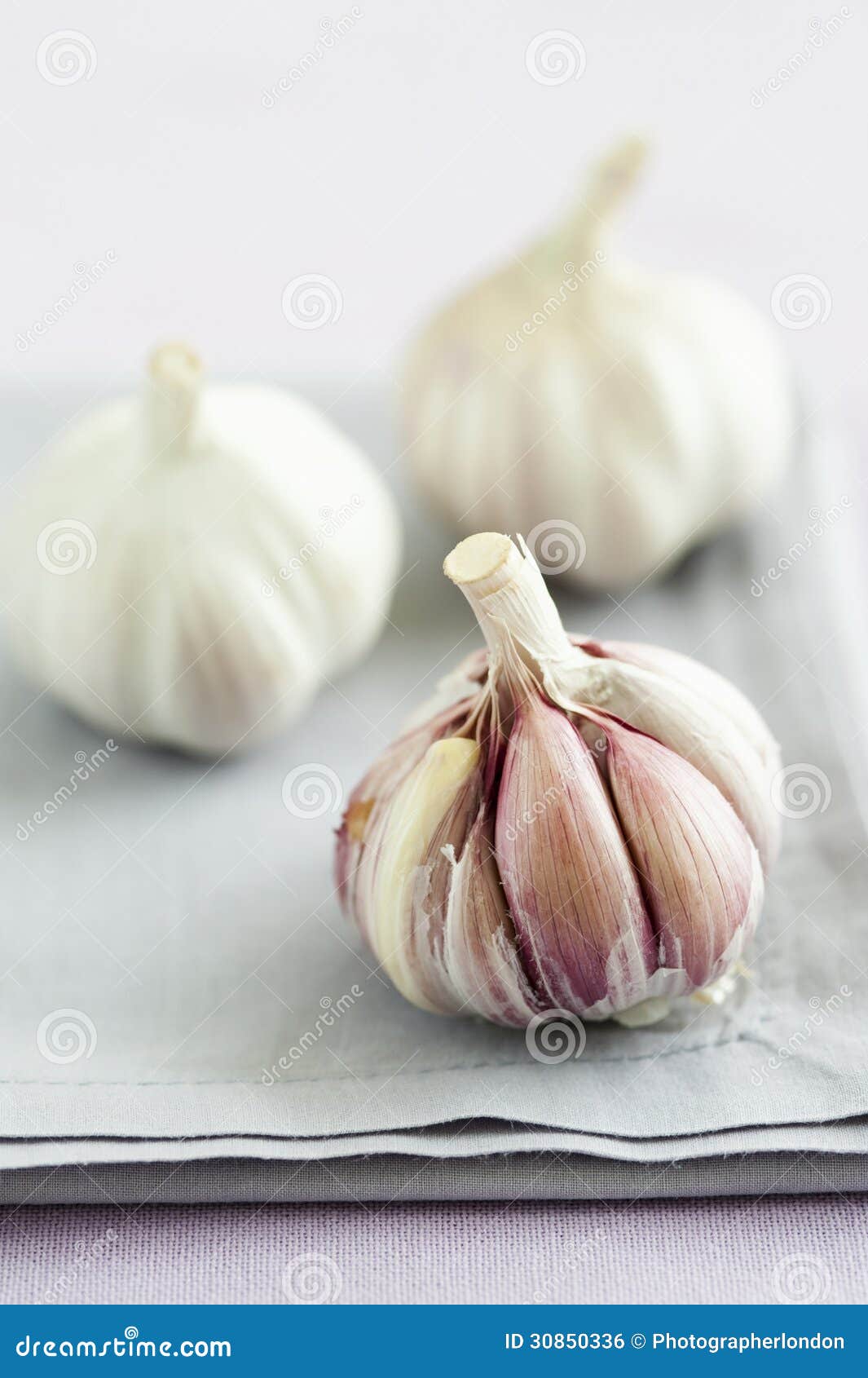 Fresh garlic stock photo. Image of still, objects, studio - 30850336