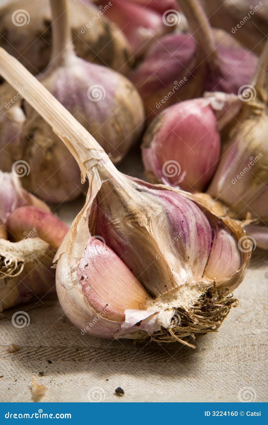 Fresh garlic stock photo. Image of meal, summer, edibles - 3224160