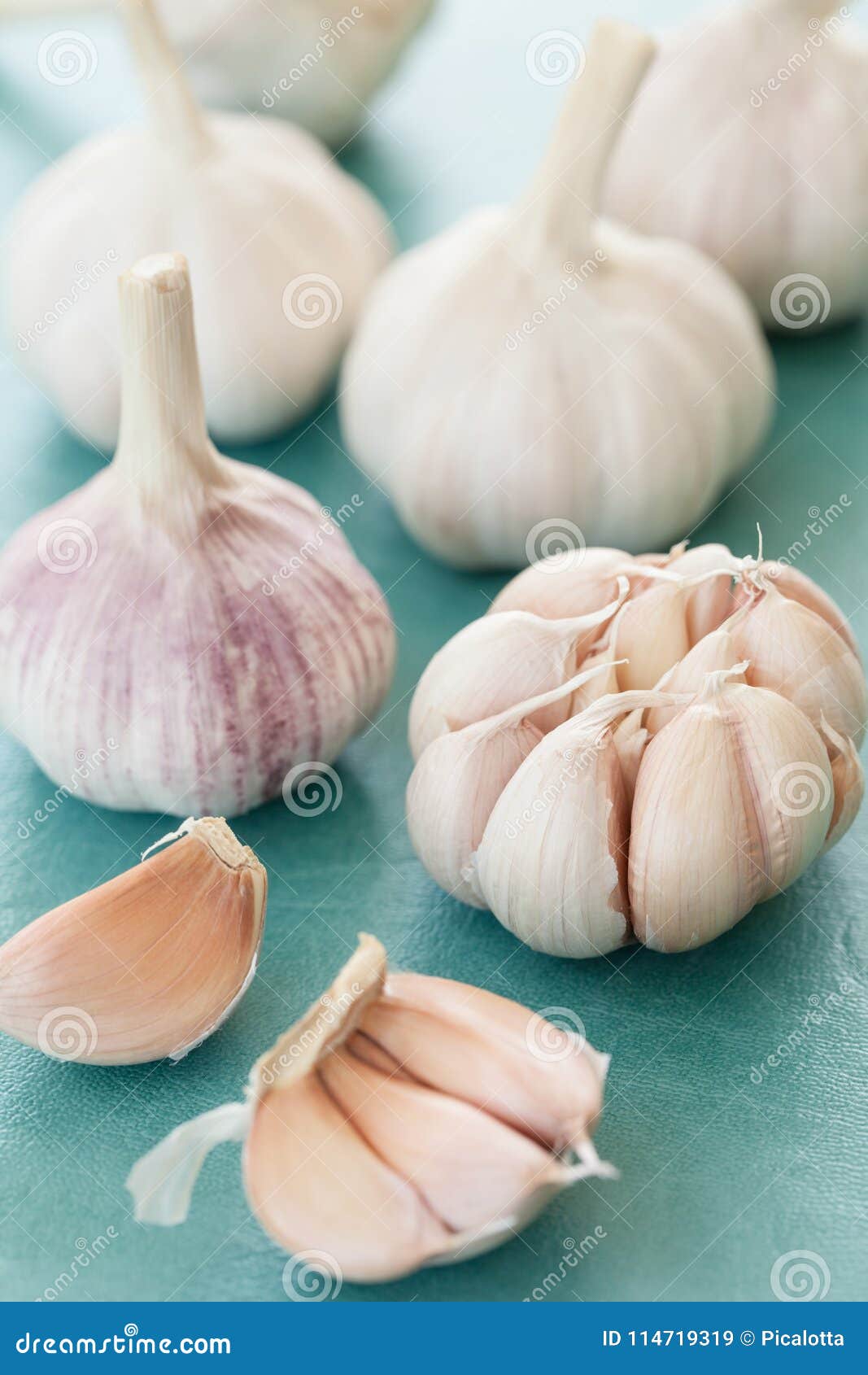 Fresh garlic on blue stock image. Image of blue, spicy - 114719319