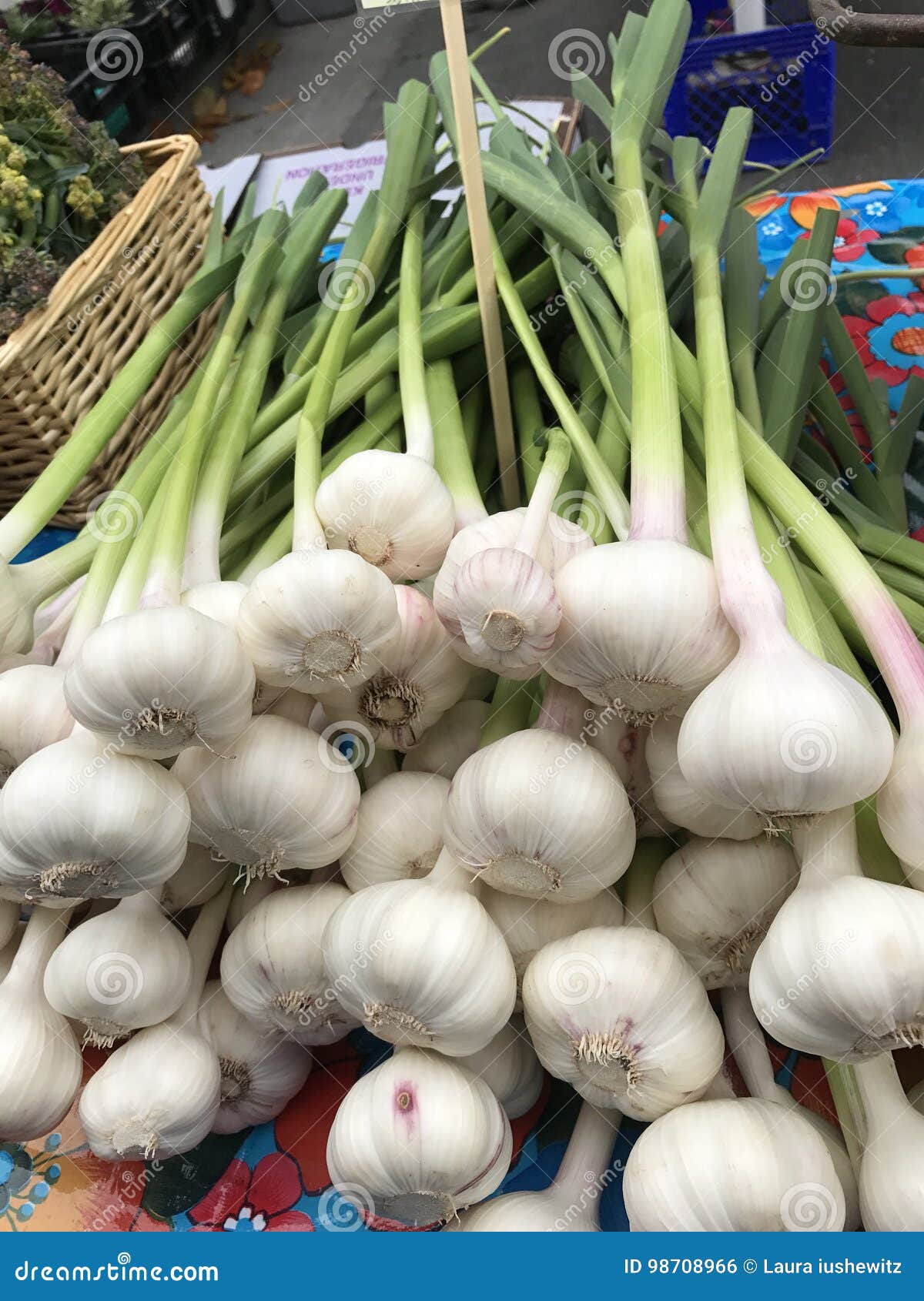 Fresh garlic bunch stock photo. Image of market, fresh - 98708966
