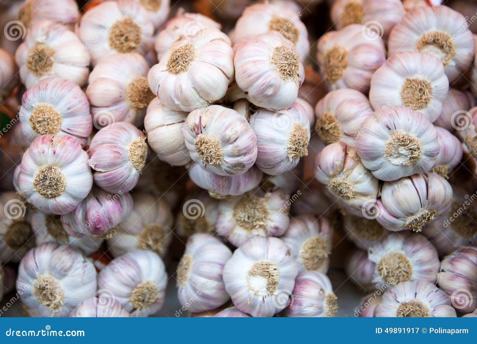 Fresh garlic in a bundle stock image. Image of hanging - 49891917