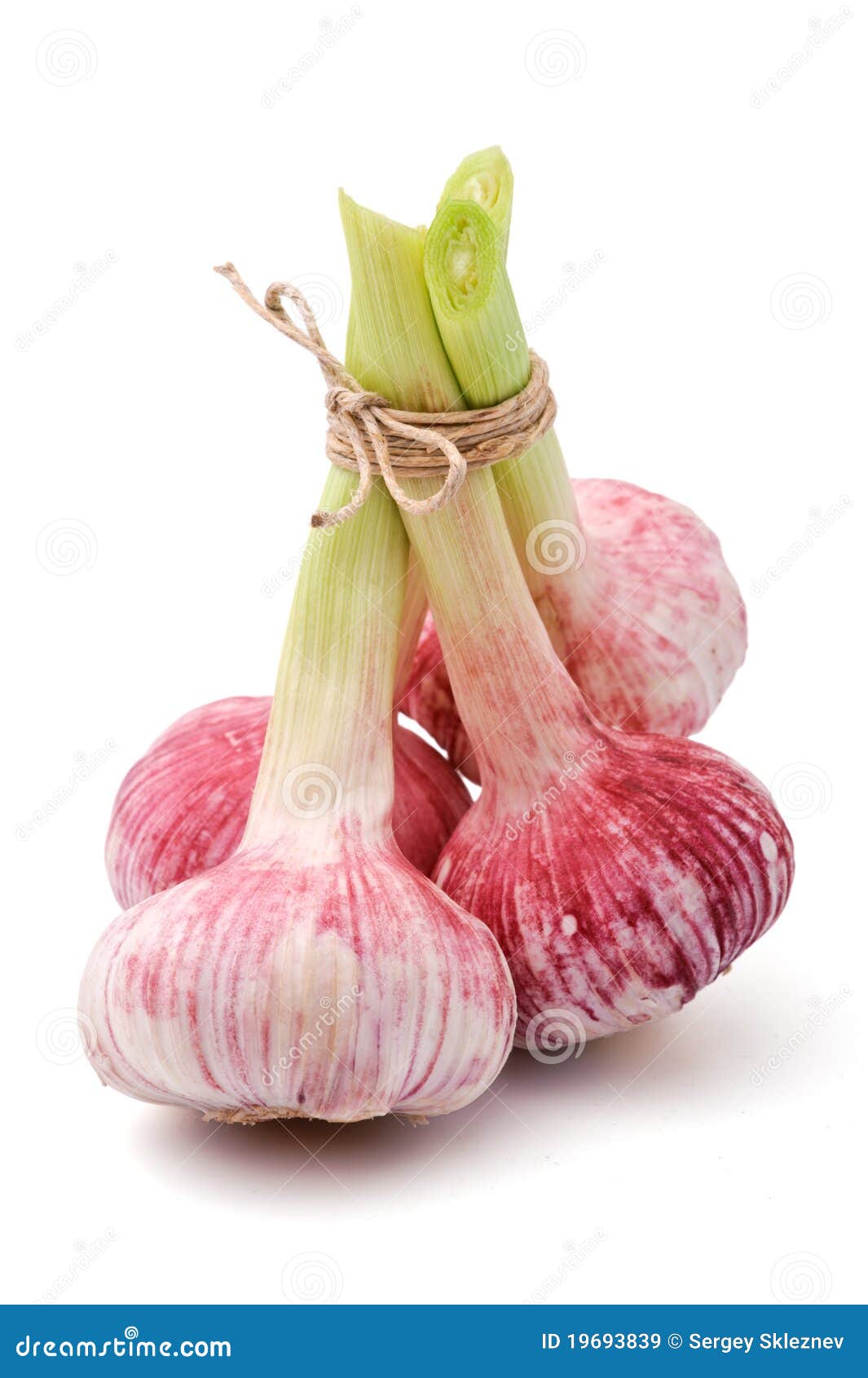 Fresh Garlic in a Bundle, White Background Stock Image - Image of fresh ...