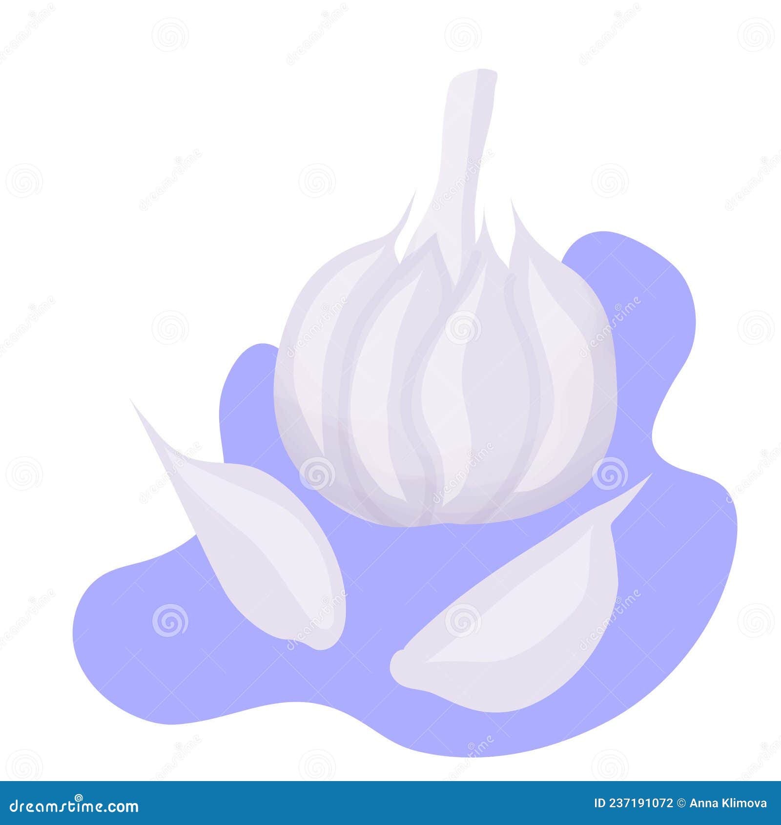 Fresh Garlic in Cartoon Style Isolated on Background Stock Vector ...