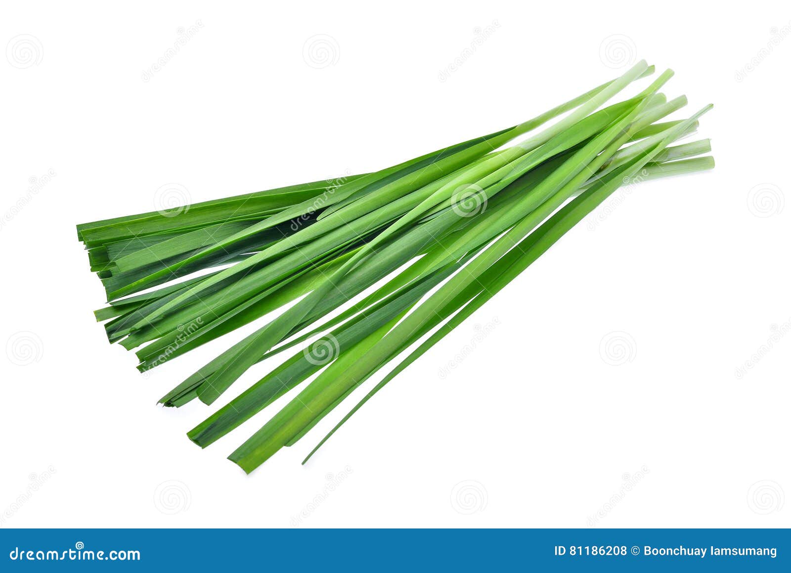 Fresh Garlic Chives Vegetableon Isoalted on White Background Stock ...