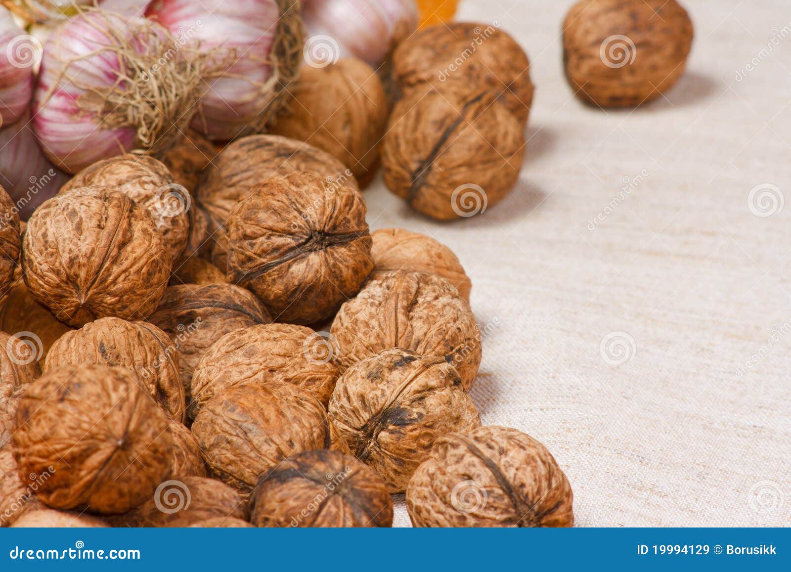 The fresh garlic and nuts stock image. Image of garden - 19994129