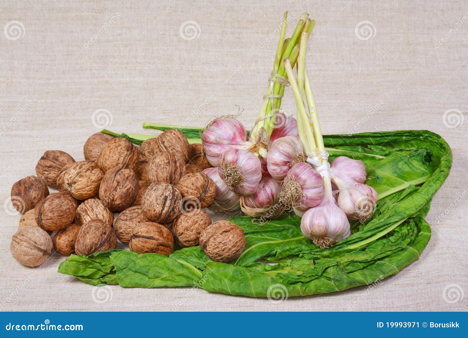 Fresh Garlic and Nuts from Kitchen Garden Stock Image - Image of ...