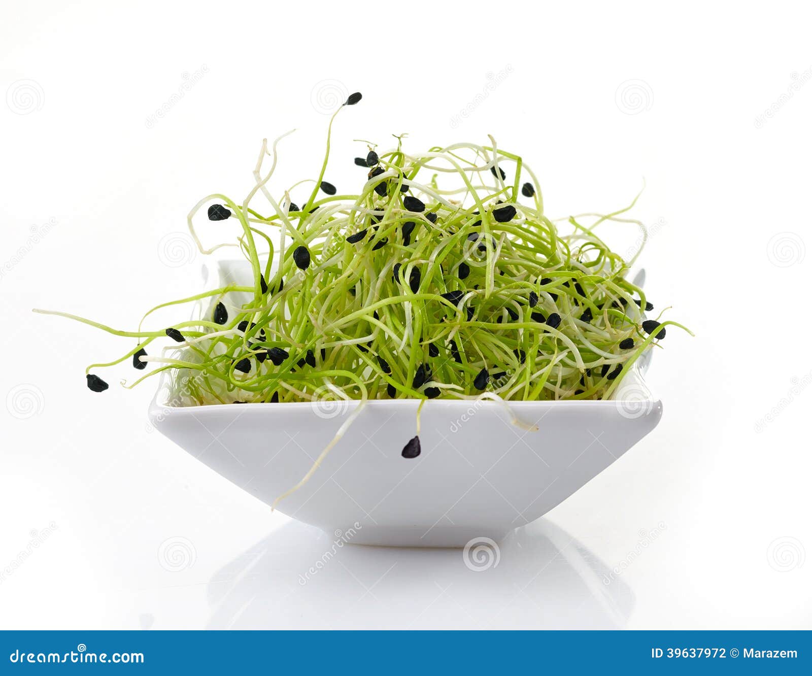 Fresh garlic sprouts stock photo. Image of flavor, background - 39637972