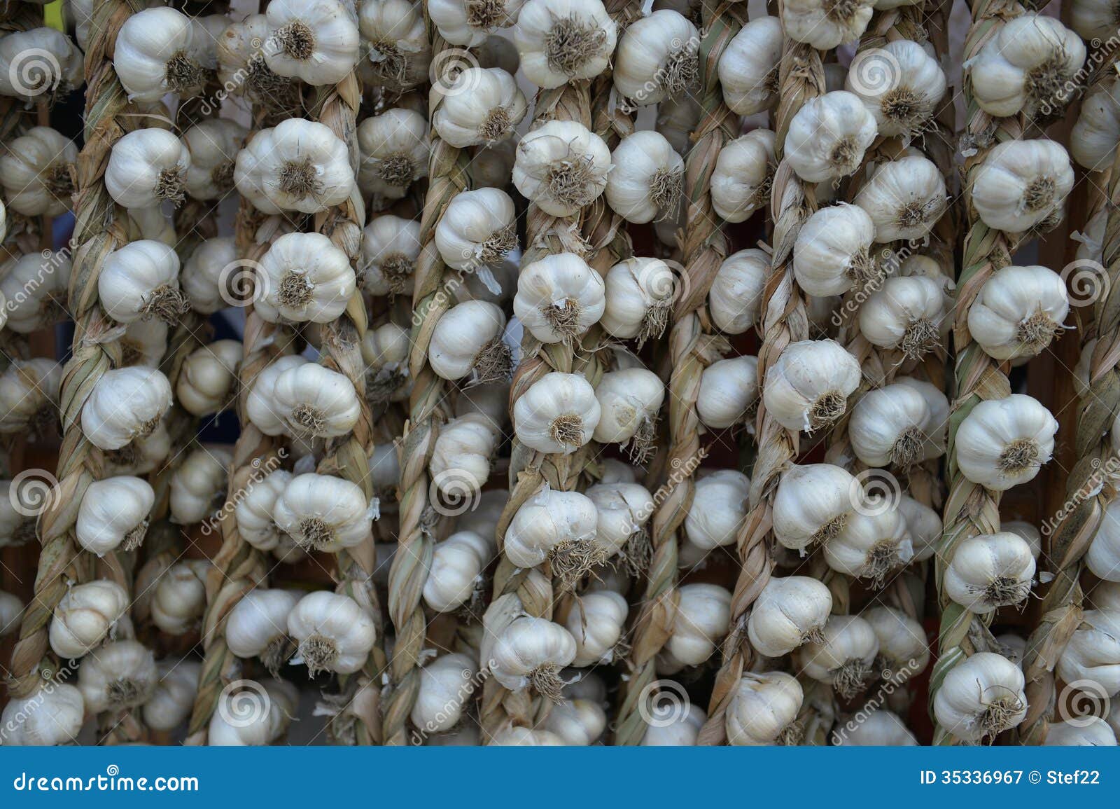 Fresh garlic stock image. Image of garlic, display, nature - 35336967