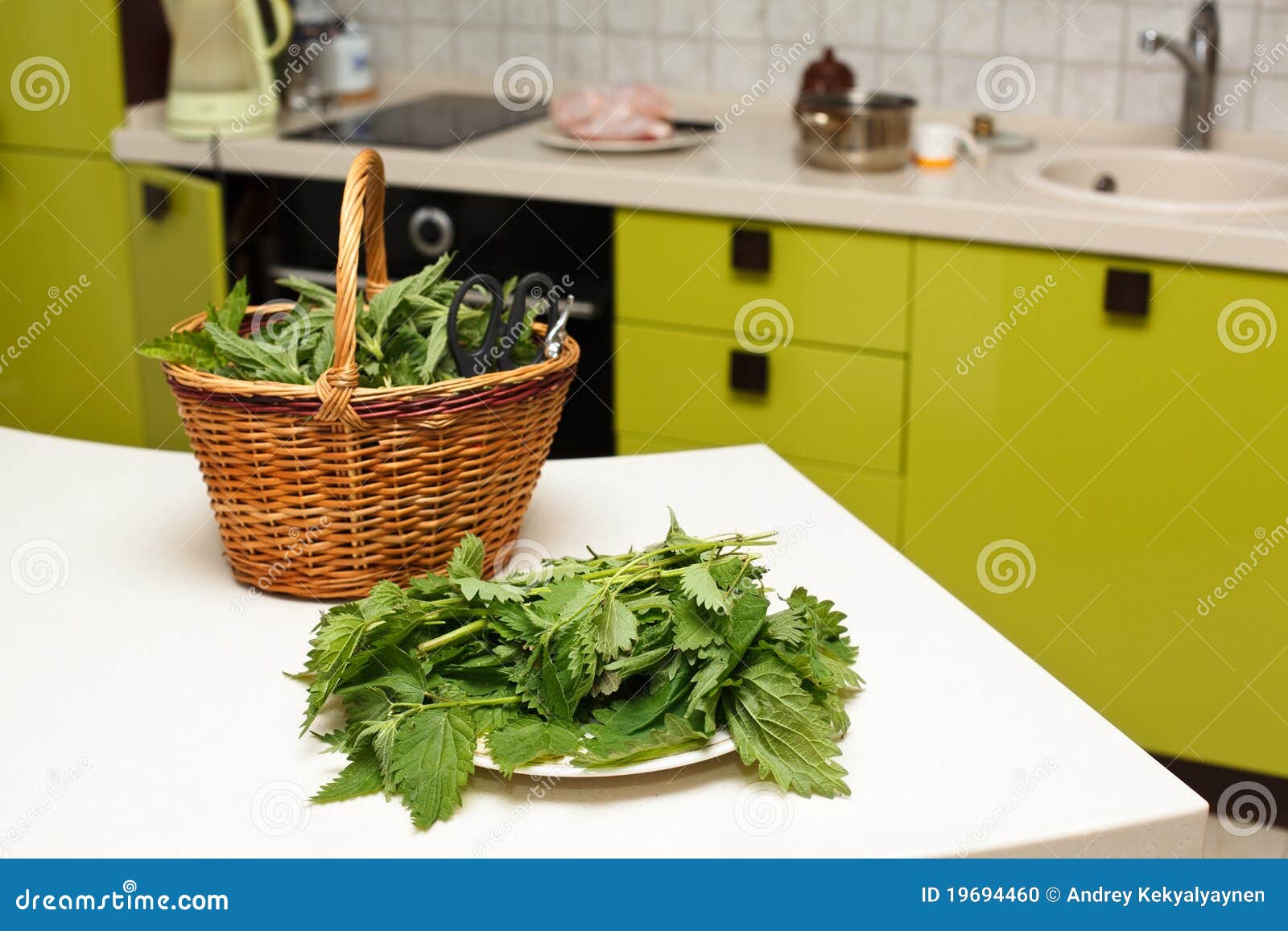 Fresh Gathered Nettles in Basket Stock Photo - Image of ingredients ...