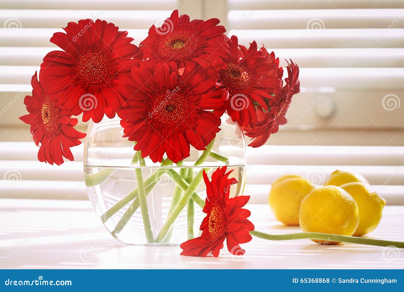 Fresh Gerbera Daisy in on Table Stock Photo - Image of life, garden ...