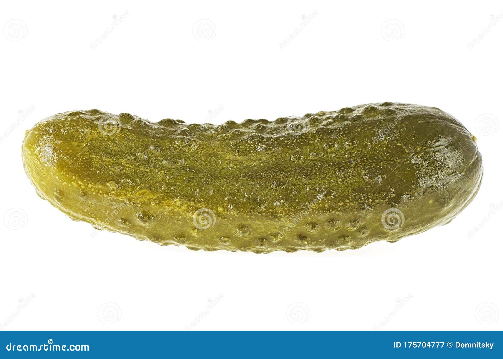 Fresh Gherkin on White Background Stock Image - Image of preserved ...