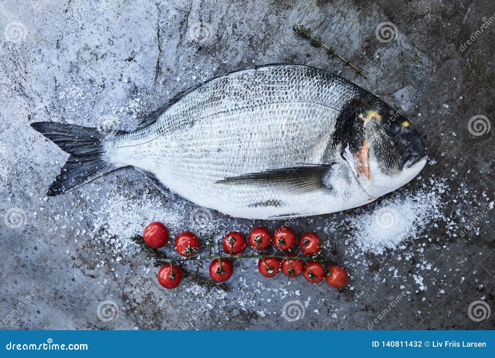 Gilt head bream stock photo. Image of head, fresh, goldbrasse - 140811432