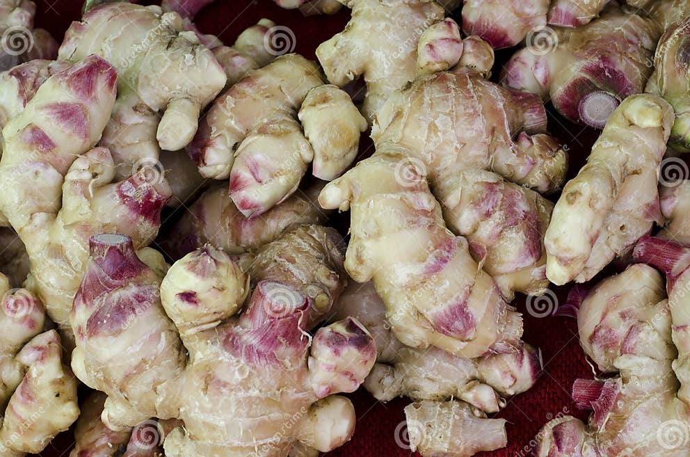 Fresh ginger stock image. Image of fruit, medicine, spice - 21393873