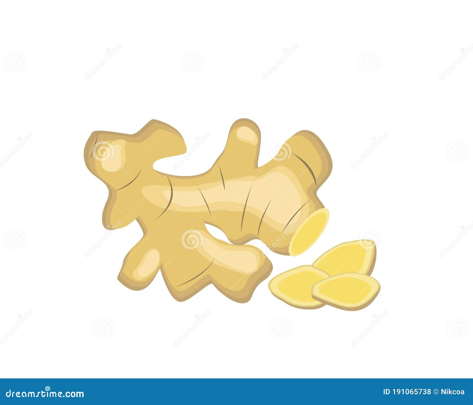 Fresh Ginger with Cut Slice Isolated on White Stock Vector ...