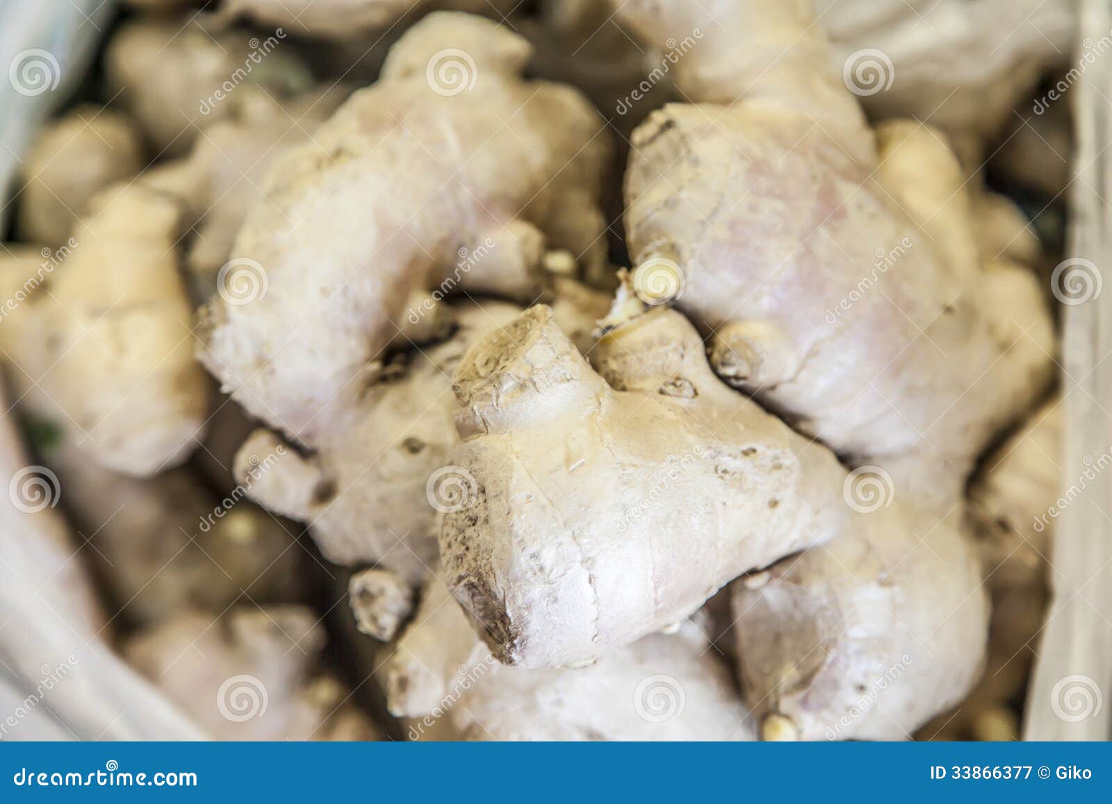 Fresh Ginger stock image. Image of fresh, ingredient - 33866377