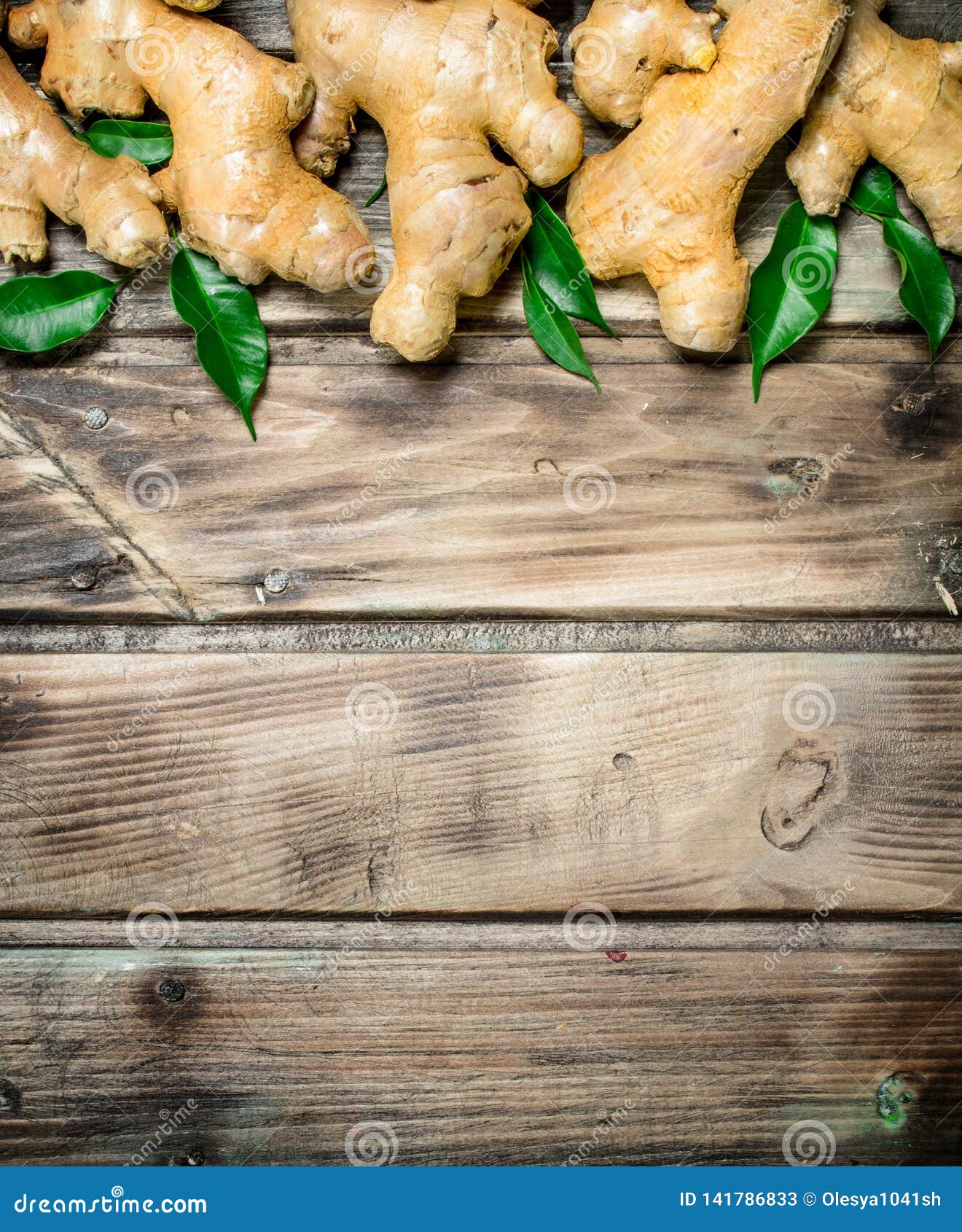 Fresh ginger with leaves stock image. Image of pungent - 141786833