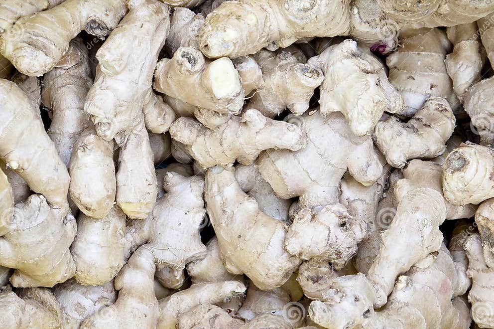 Fresh ginger stock photo. Image of agriculture, crop - 55201766