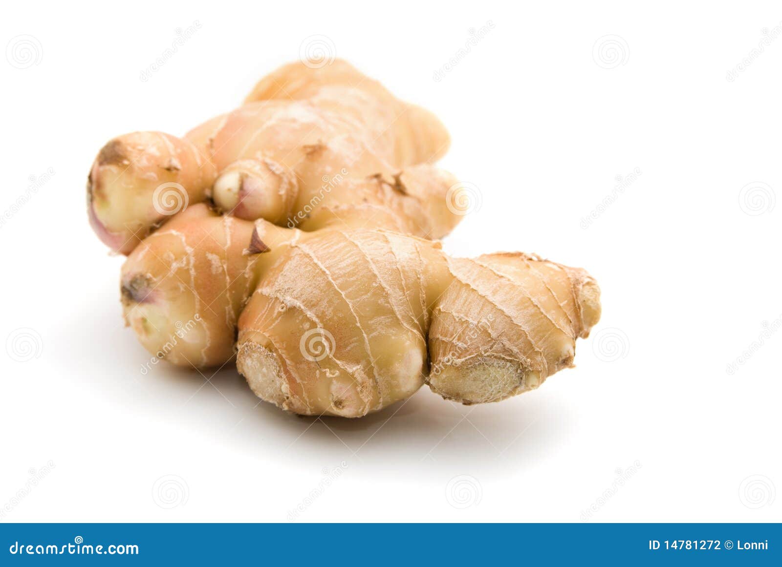 Fresh Ginger Root stock photo. Image of isolated, root - 14781272 Fresh Ginger Root stock photo. Image of isolated, root - 14781272