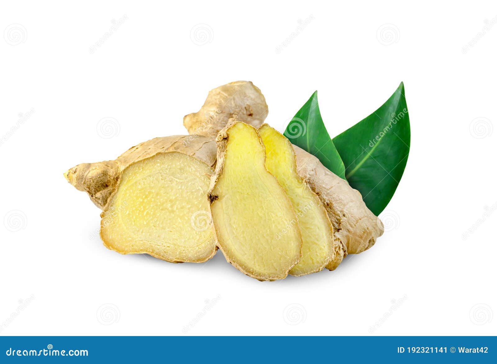 Fresh Ginger Root and Leaves Isolated on White Background Stock Image ...