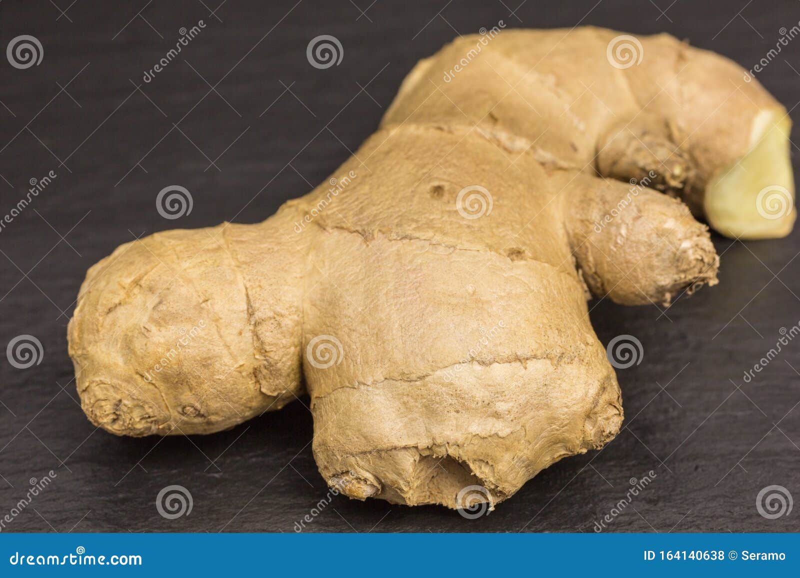Fresh ginger roots stock photo. Image of seasoning, aromatic - 164140638