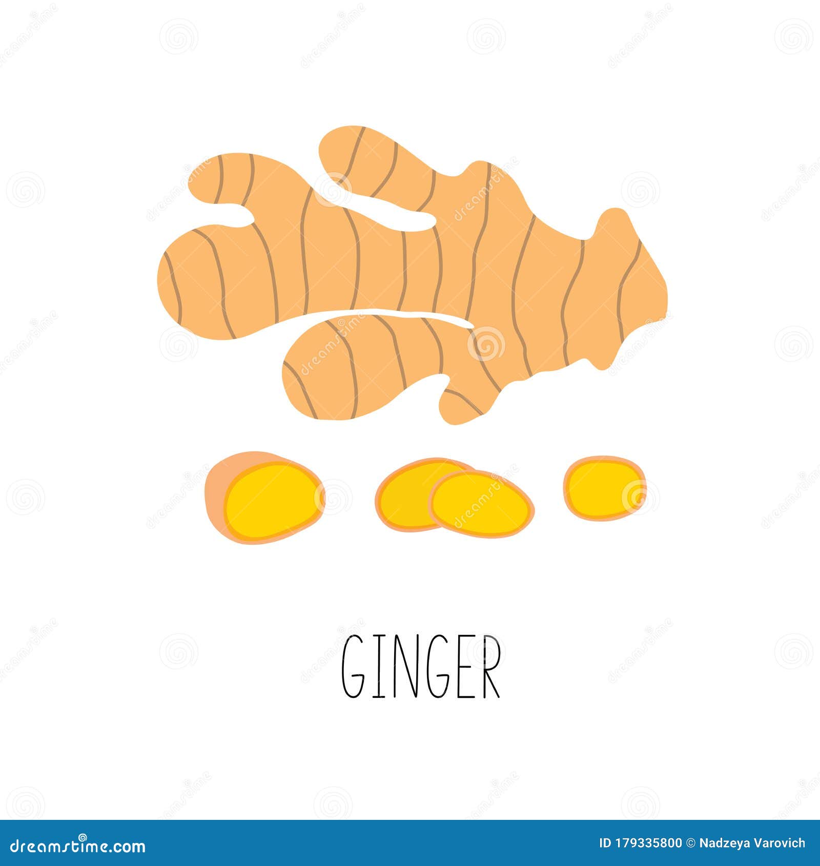 Fresh Ginger and Slices. Vector Illustration Isolated. Stock Vector ...