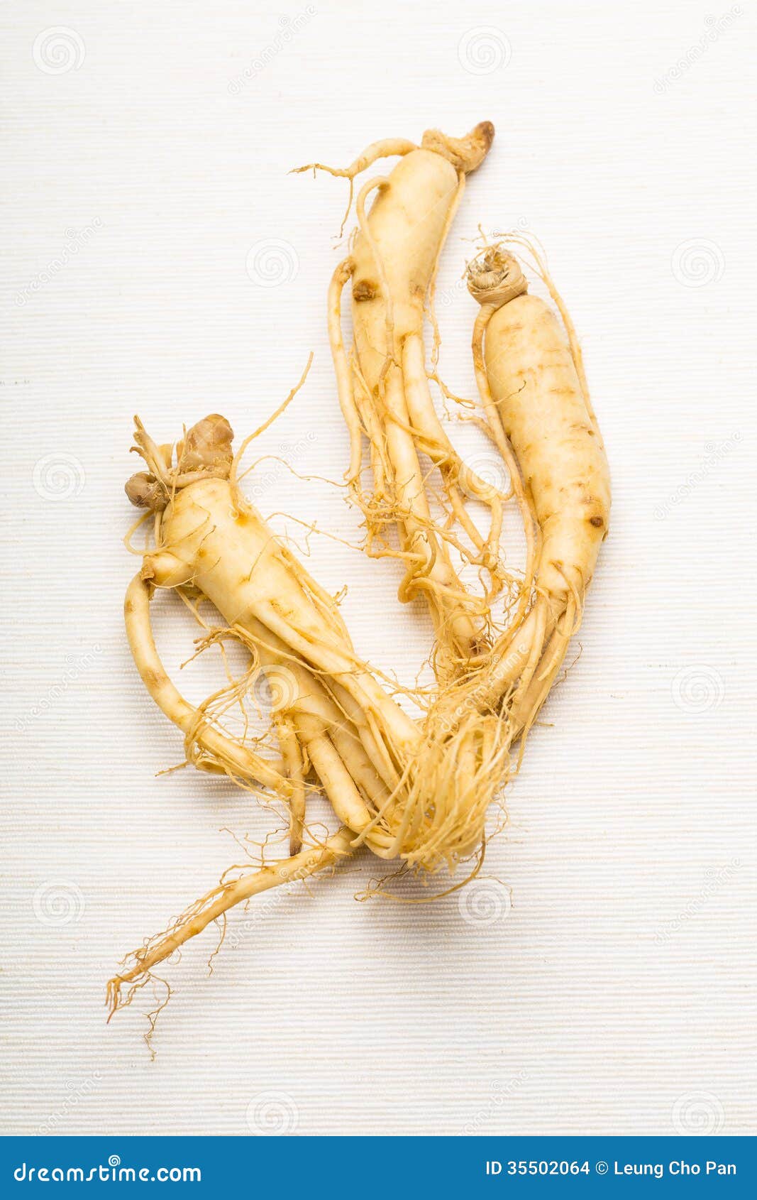 Fresh Ginseng stock photo. Image of health, close, branch - 35502064