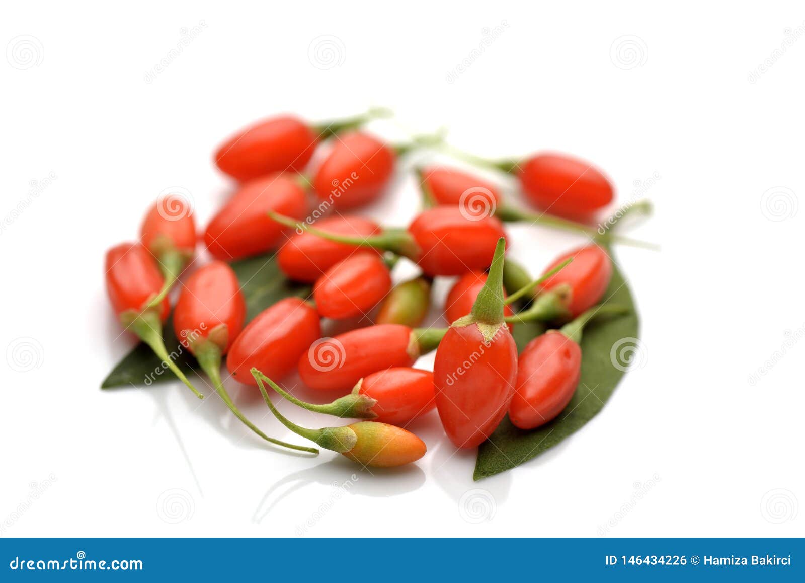 Fresh goji berries stock photo. Image of asia, nature - 146434226