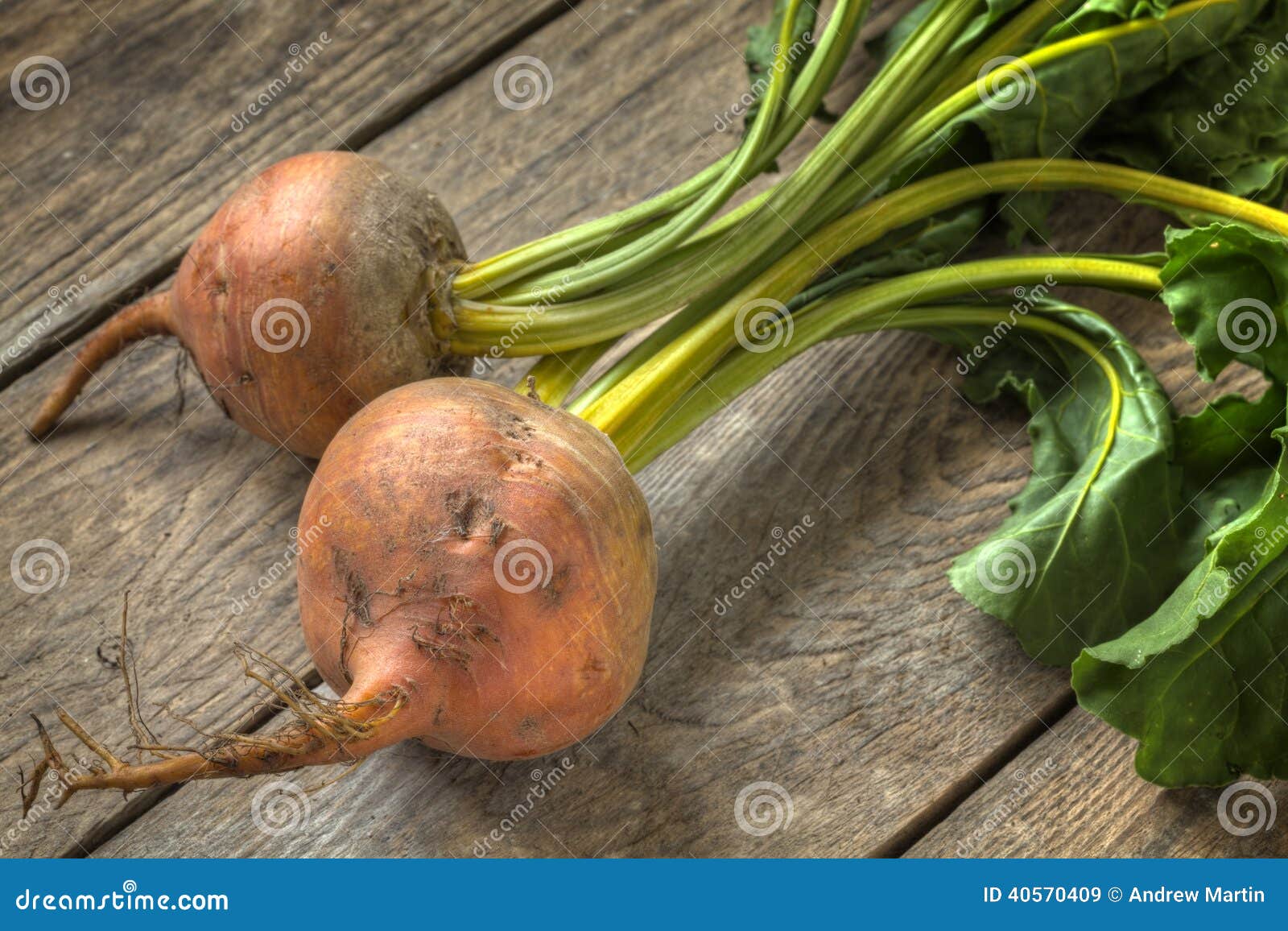 Fresh Golden Beetroot on a Timber Table Stock Image - Image of food ...