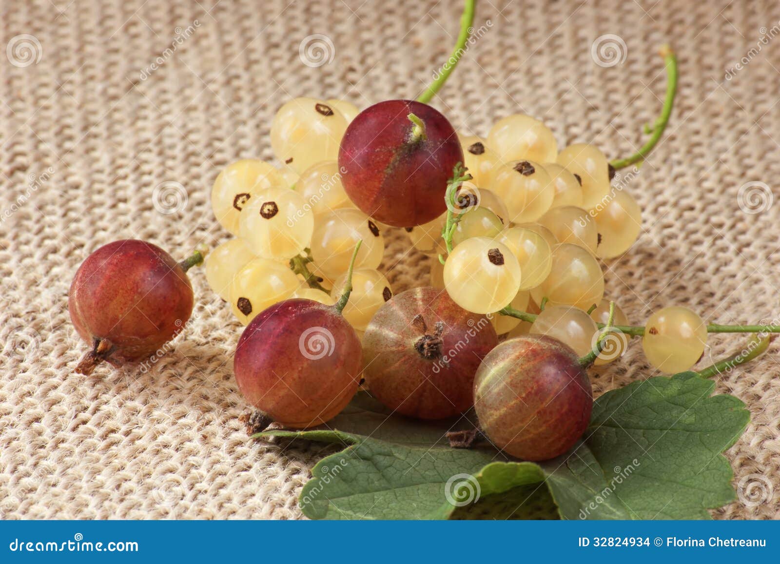Fresh Gooseberries of Different Colors Stock Photo - Image of juicy ...