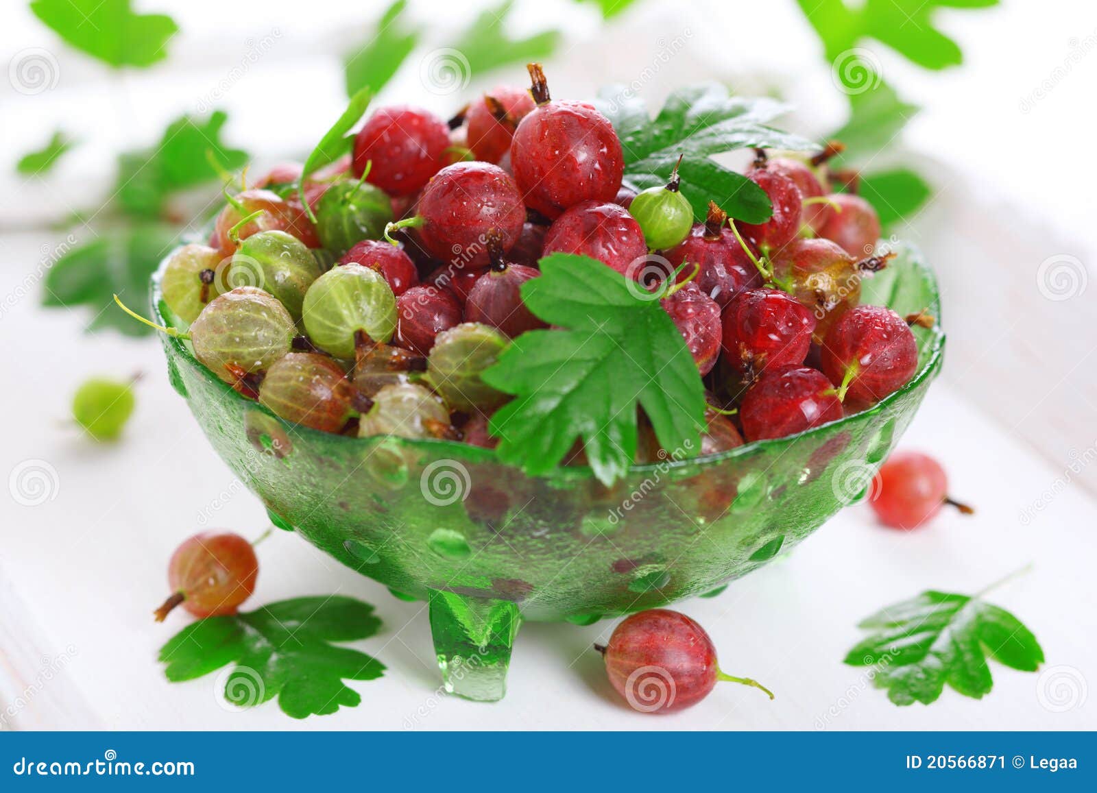 Fresh gooseberry stock image. Image of bowl, purity, berry - 20566871