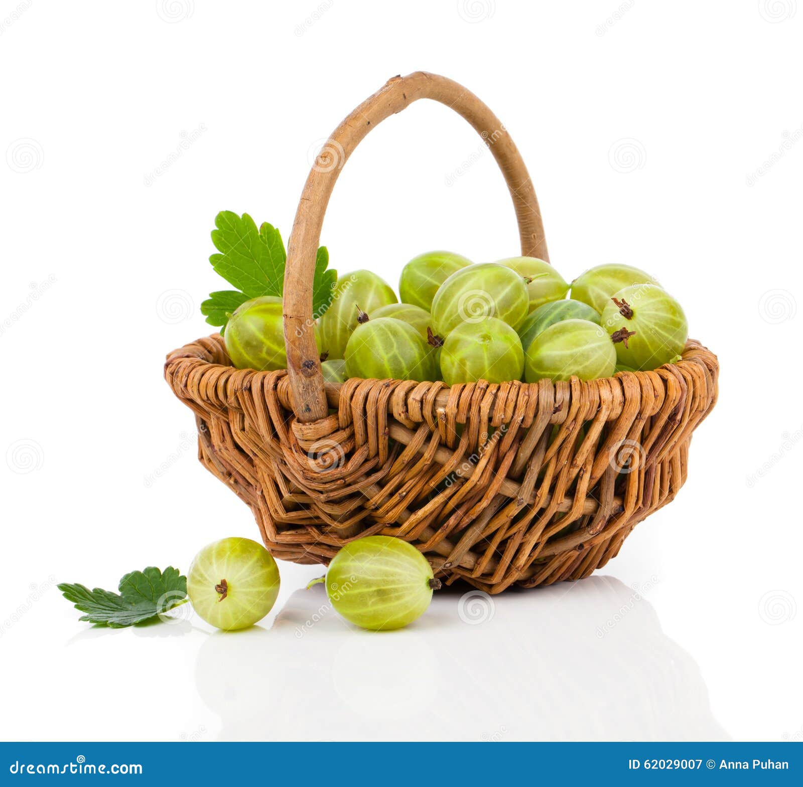 Fresh gooseberry stock image. Image of crop, berry, agriculture - 62029007